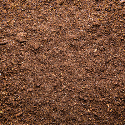 General fill – World Tree Materials