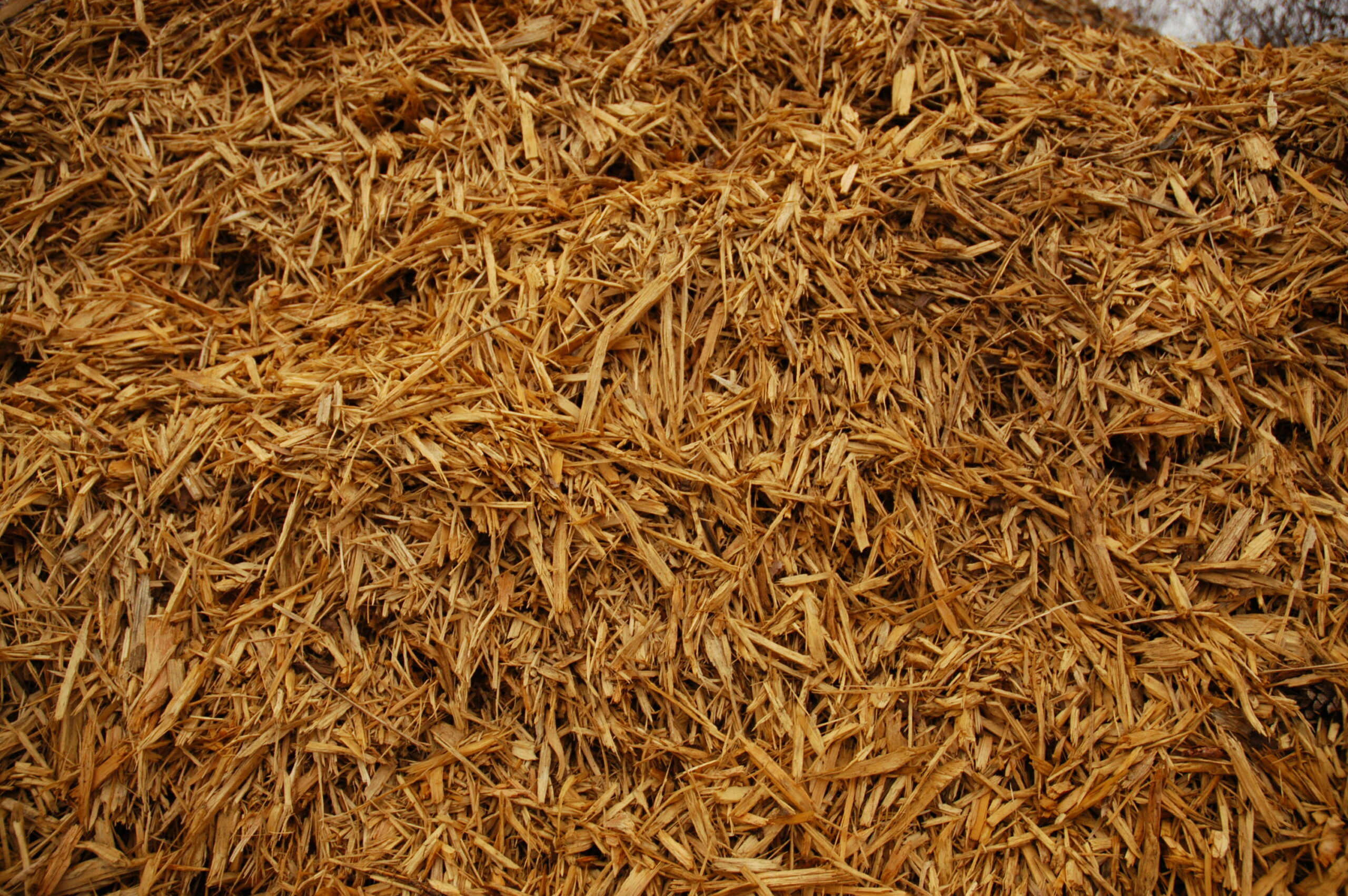 Blonde Mulch – World Tree Materials
